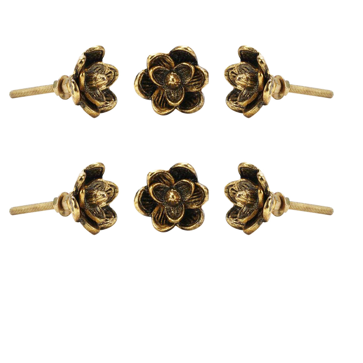 Set of 6 Gold Flower knob