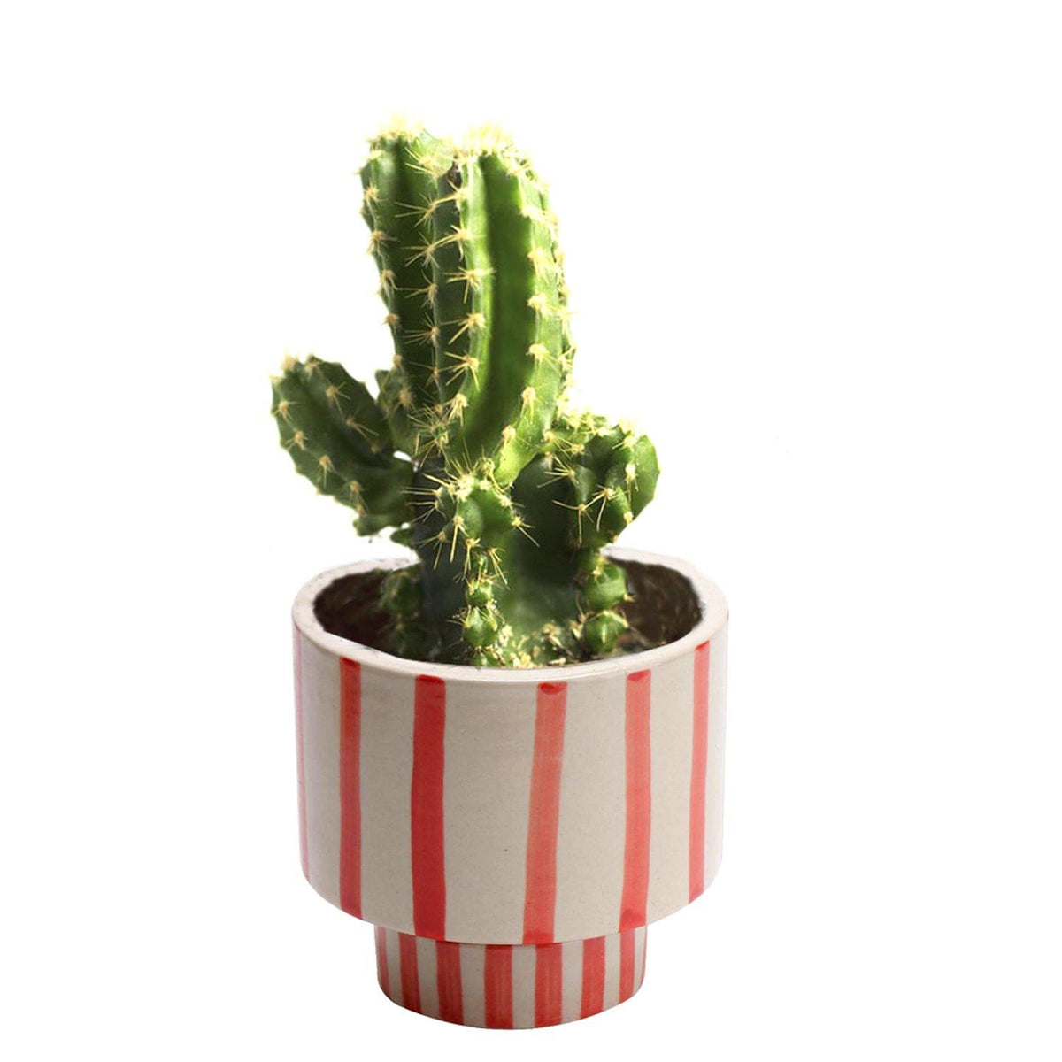 Red Striped Planter Pot ( 2 piece )